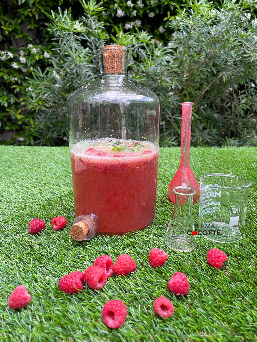 LIMONADE AUX FRAMBOISES, GINGEMBRE ET CITRON VERT